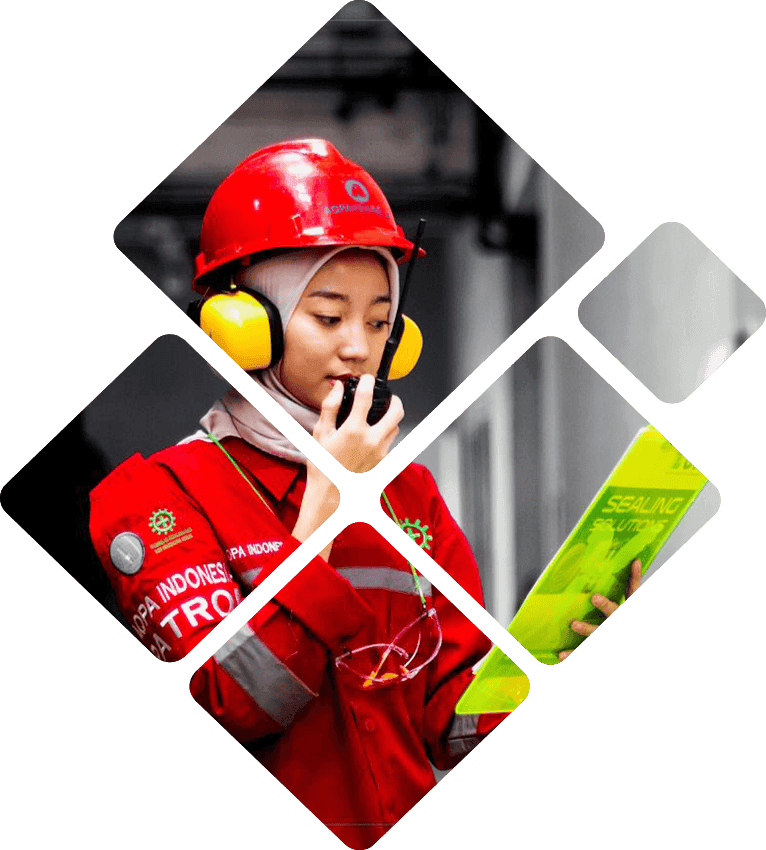 Vision Mission – Aqpa Indonesia